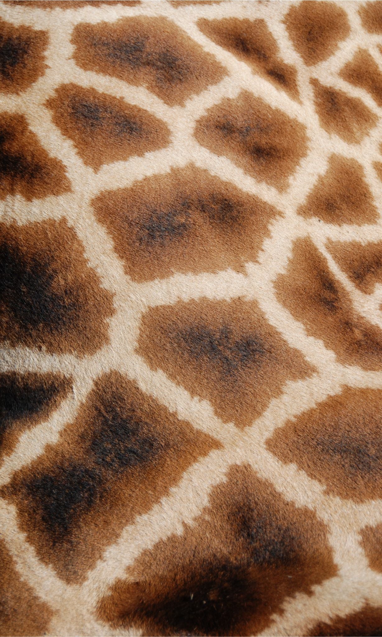 Classy Cases - Fancy Cases for Fancy People - IPhone and Samsung Cases